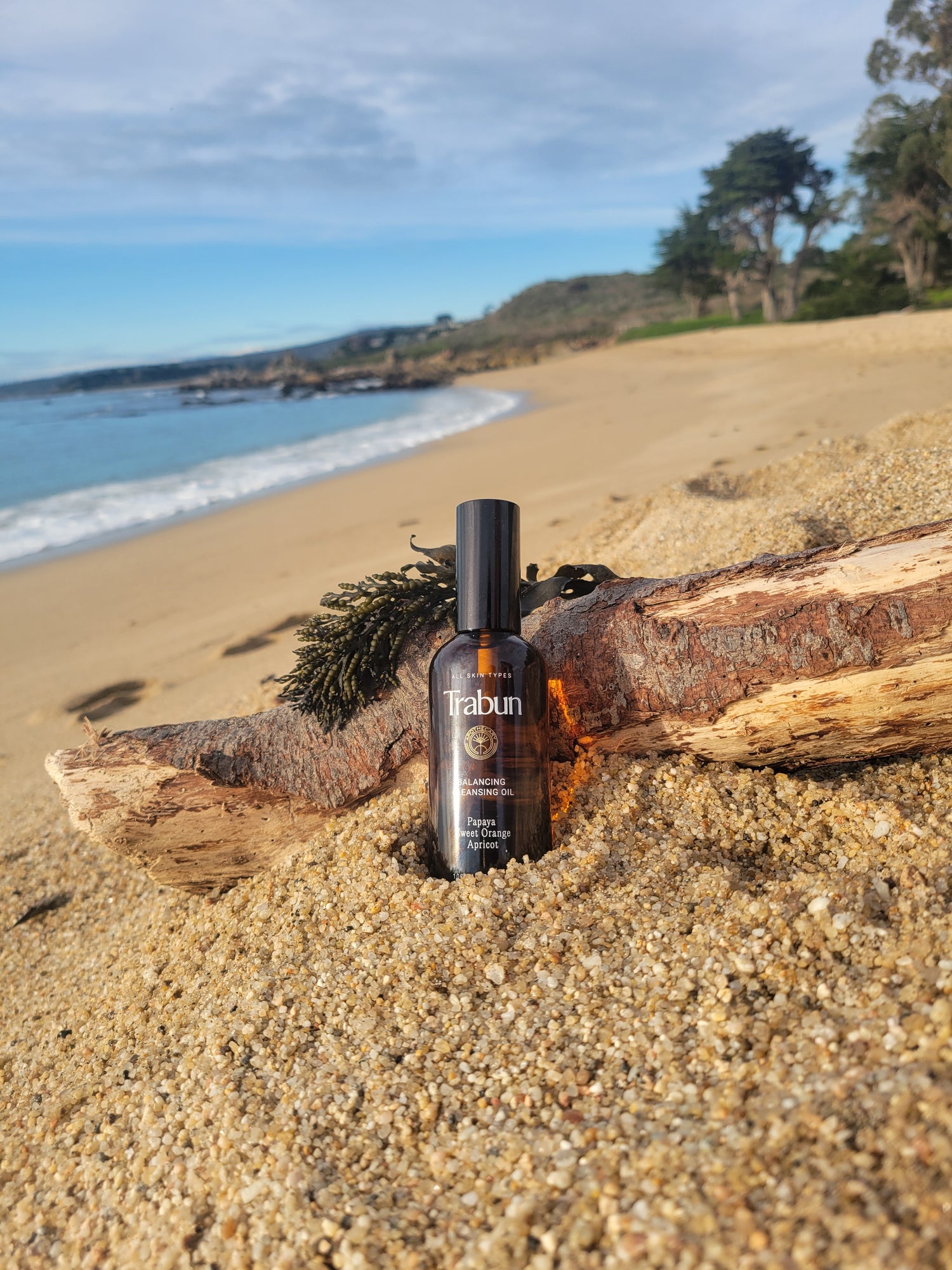 Trabun Apothecary Papaya Balancing Cleansing Oil – Trabun Aphothecary